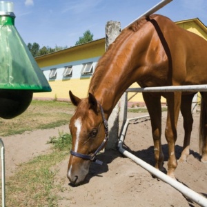 Horse-Fly-Trap Professional Horse Fly Control System | Horse-Fly-Trap.com